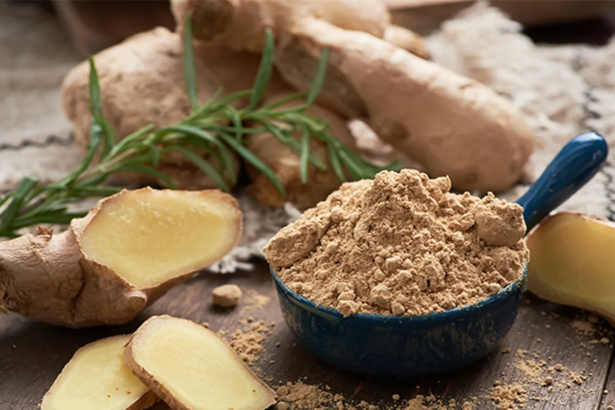 Why Ginger Powder Is A Must-Have Spice in Your Kitchen