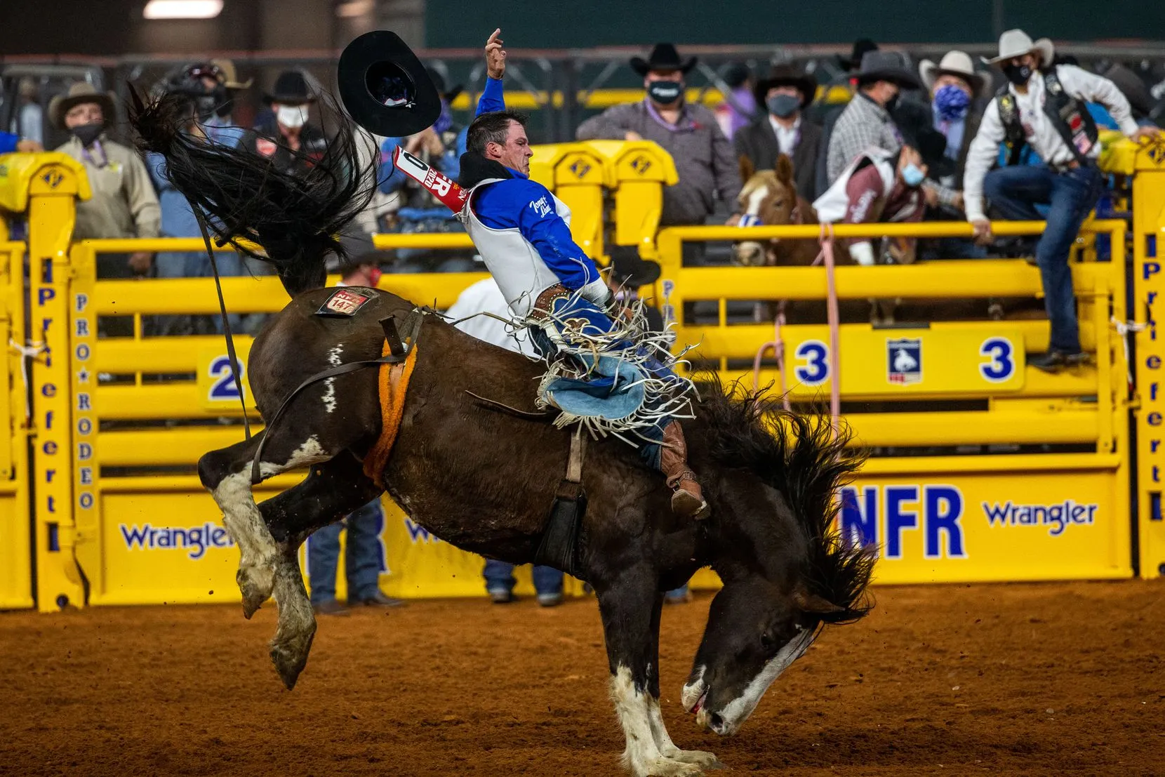 Everything You Need to Know About the Texas Rodeo 2023