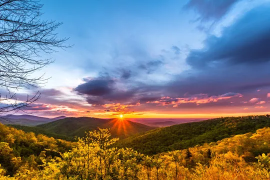 Descubra los mejores destinos de compras en Virginia Spring