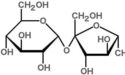 Understanding the Sucrose Structure for Healthier Shopping Choices