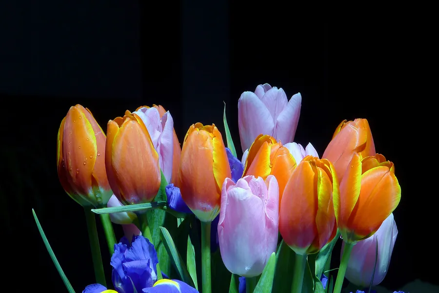 Top 10 Unique Vase of Tulips Ideas to Add a Splash of Color to Your ...