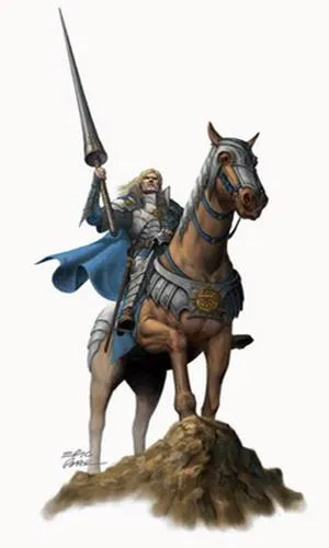 Rider Definition What it means in Shopping and How to Identify Them?