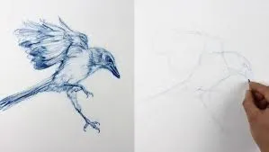 How to Train to Draw like a Pro Tips and Techniques for Beginners