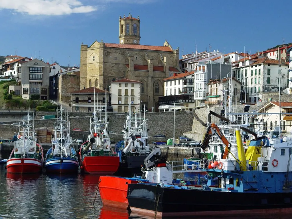 Shopping in Palau Islands Where to Find the Best Deals?