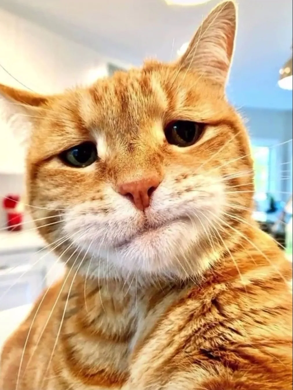 Design Fashionable Clothing - Shop Top Selling at the Top Store ...